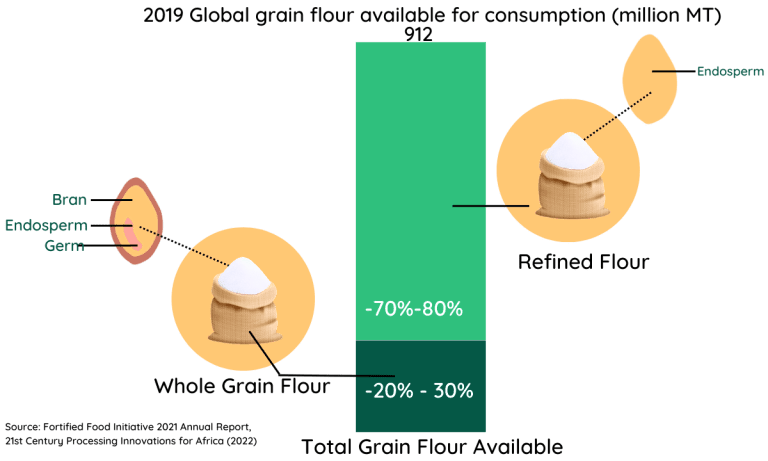 What are Whole Grains - Fortified Whole Grain Alliance
